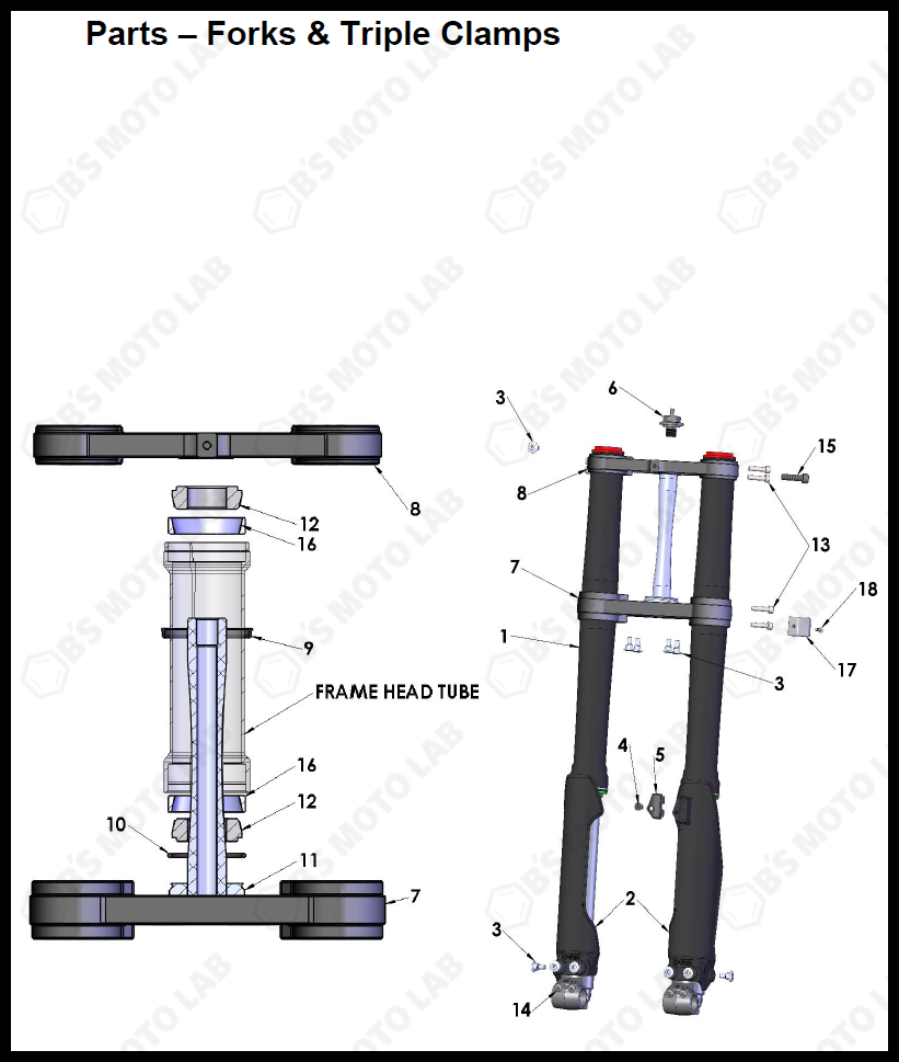 Forks & Triple Clamps, 2023 Cobra CX-65 – B's Moto Lab